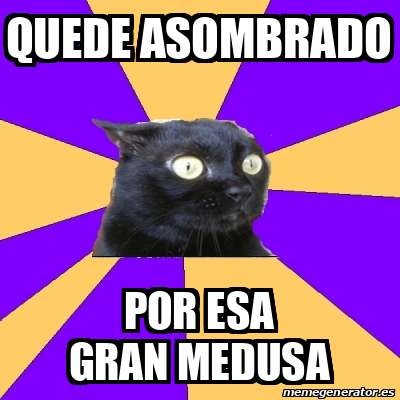 Meme Anxiety Cat - quede asombrado por esa gran medusa - 32001026