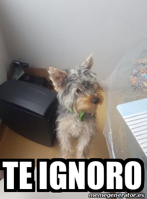 Meme Personalizado - te ignoro - 32002626