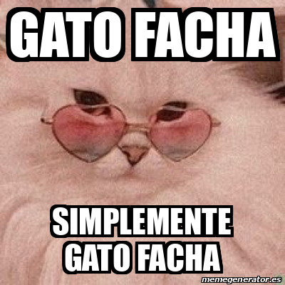 Meme Personalizado - Gato facha simplemente gato facha - 32008183