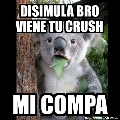 Meme Koala - DISIMULA BRO VIENE TU CRUSH MI COMPA - 32013057