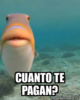 Meme Personalizado - Cuanto te pagan? - 32013269