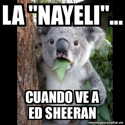 Meme Koala - LA "NAYELI"... CUANDO VE A ED SHEERAN - 32014491
