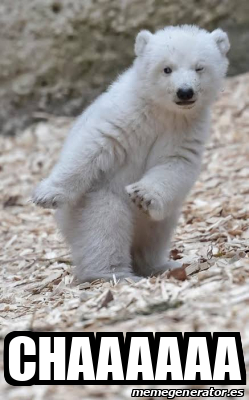 Meme Personalizado - Chaaaaaa - 32015981
