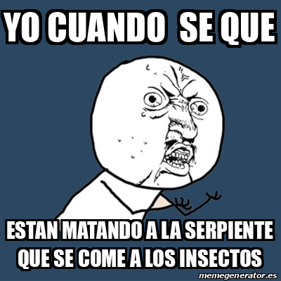 Meme Y U No - yo cuando se que estan matando a la serpiente que se come ...