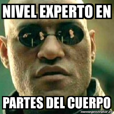 Meme What If I Told You - nivel experto en partes del cuerpo - 32016771