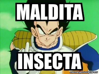 Meme Personalizado - Maldita Insecta - 32017981