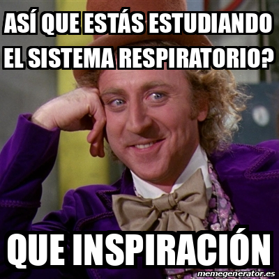 Meme Willy Wonka - Así que estás estudiando el sistema respiratorio ...