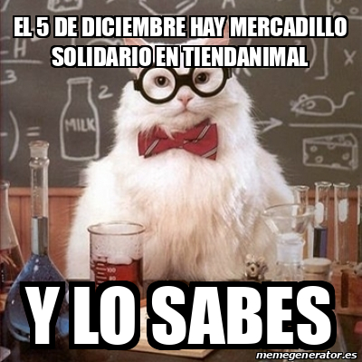Meme Chemistry Cat - El 5 de diciembre hay mercadillo solidario en ...