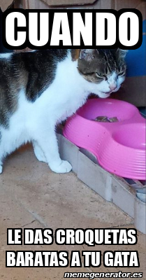 Meme Personalizado - Cuando Le das croquetas baratas a tu gata - 32105407