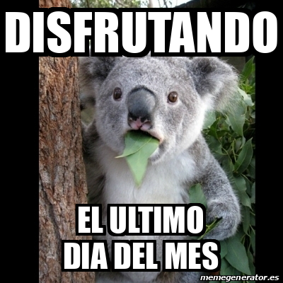 Meme Koala - DISFRUTANDO EL ULTIMO DIA DEL MES - 32107166