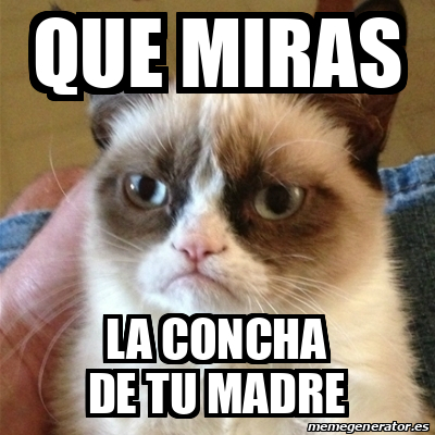 Meme Grumpy Cat - Que miras La concha de tu madre - 32107360