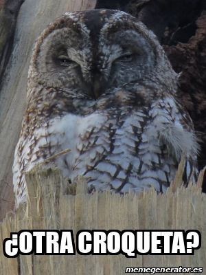 Meme Personalizado - ¿otra croqueta? - 32113427