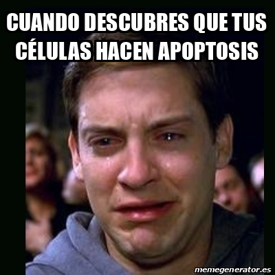 Meme crying peter parker - Cuando descubres que tus células hacen ...