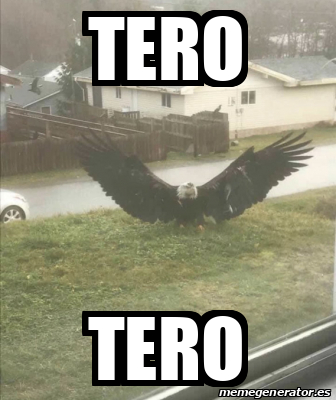 Meme Personalizado - tero tero - 32117164