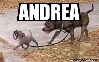 Meme Personalizado - Andrea - 32117684