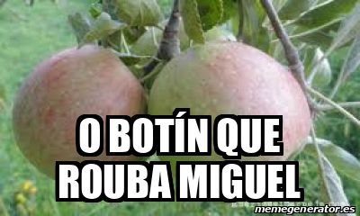 Meme Personalizado - o botín que rouba miguel - 32121574