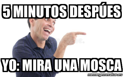 Meme Personalizado - 5 minutos despúes yo: mira una mosca - 32122145