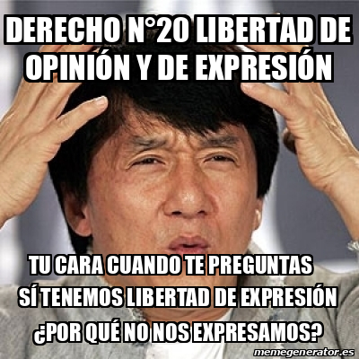 Meme Jackie Chan - Derecho N°20 libertad de opinión y de expresión Tu ...