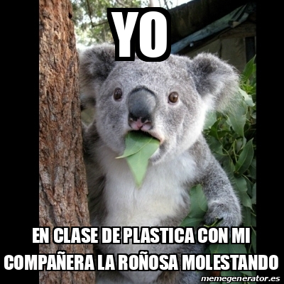 Meme Koala - yo en clase de plastica con mi compañera la roñosa molestando - 32124579