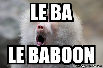 Meme Personalizado - LE BA LE BABOON - 32127853