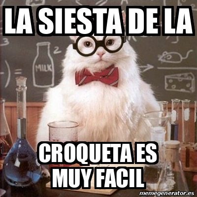 Meme Chemistry Cat - La siesta de la Croqueta es muy facil - 32128513