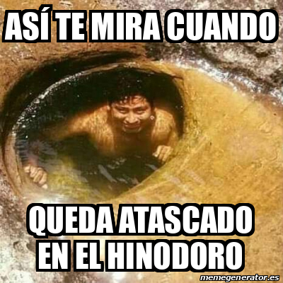 Meme Personalizado - Así te mira cuando Queda atascado en el hinodoro ...