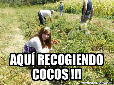 Meme Personalizado - Aquí recogiendo cocos !!! - 32133847