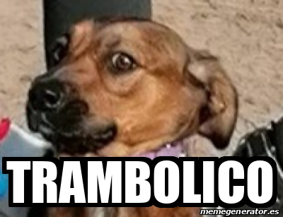 Meme Personalizado - Trambolico - 32137812