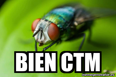 Meme Personalizado - Bien ctm - 32139400