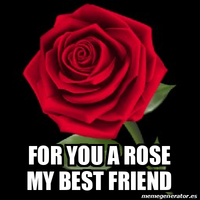 Meme Personalizado - For you a rose my best friend - 32140872