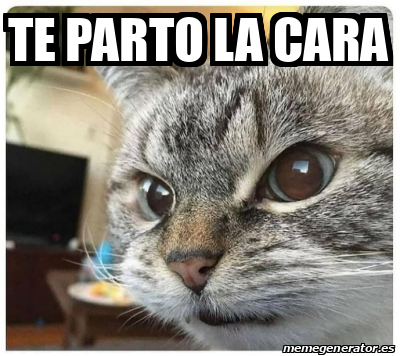 Meme Personalizado - Te parto la cara - 32143134