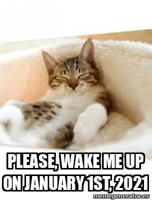 Meme Personalizado - PLEASE, WAKE ME UP ON JANUARY 1ST, 2021 - 32145511