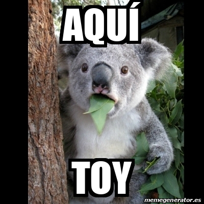 Meme Koala - Aquí Toy - 32146451