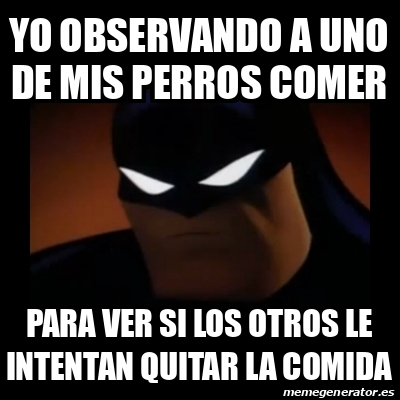 Meme Disapproving Batman - Yo observando a uno de mis perros comer Para ...
