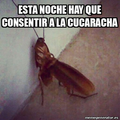 Meme Personalizado - Esta noche hay que consentir a la cucaracha - 32147313