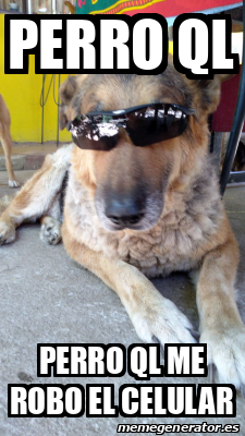 Meme Personalizado - PERRO QL PERRO QL ME ROBO EL CELULAR - 32148142