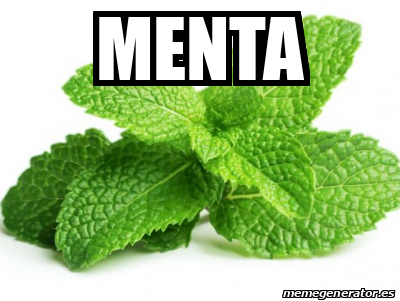 Meme Personalizado - menta - 32148240