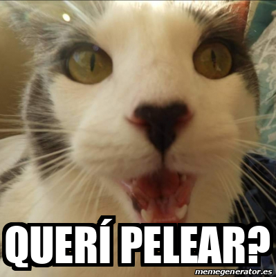 Meme Personalizado - Querí pelear? - 32156796