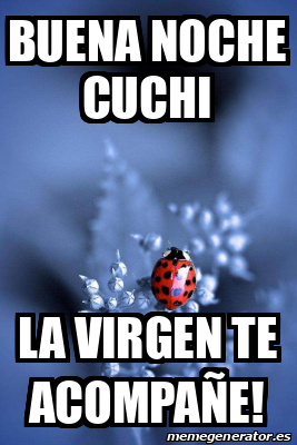 Meme Personalizado - Buena noche Cuchi La Virgen te acompañe! - 32157312
