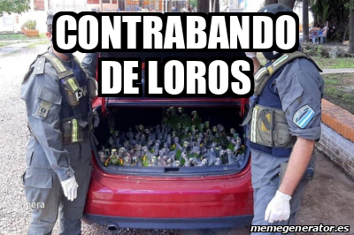 Meme Personalizado - contrabando de loros - 32162246