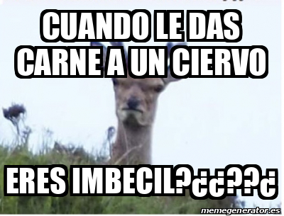 Meme Personalizado - Cuando le das carne a un ciervo eres imbecil ...