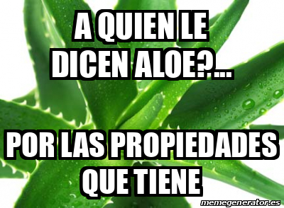 Meme Personalizado - A quien le dicen aloe?... por las propiedades que ...