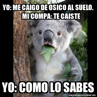 Meme Koala - Yo: me caigo de osico al suelo. mi compa: te caiste Yo ...