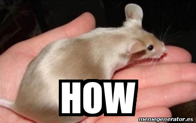 Meme Personalizado - how - 32165301