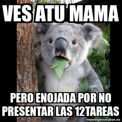 Meme Koala - ves atu mama pero enojada por no presentar las 12tareas ...