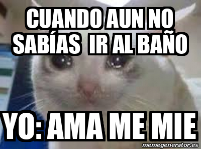 Meme Personalizado - cuando aun no sabías ir al baño yo: ama me mie ...