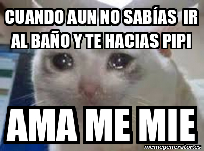 Meme Personalizado - cuando aun no sabías ir al baño y te hacias pipi ...