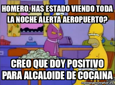 Meme Personalizado - Homero, has estado viendo toda la noche alerta ...