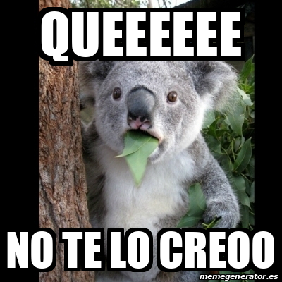 Meme Koala - queeeeee no te lo creoo - 32168749