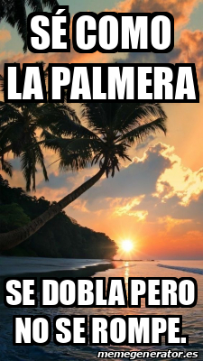 Meme Personalizado - Sé como la Palmera Se dobla pero no se rompe ...